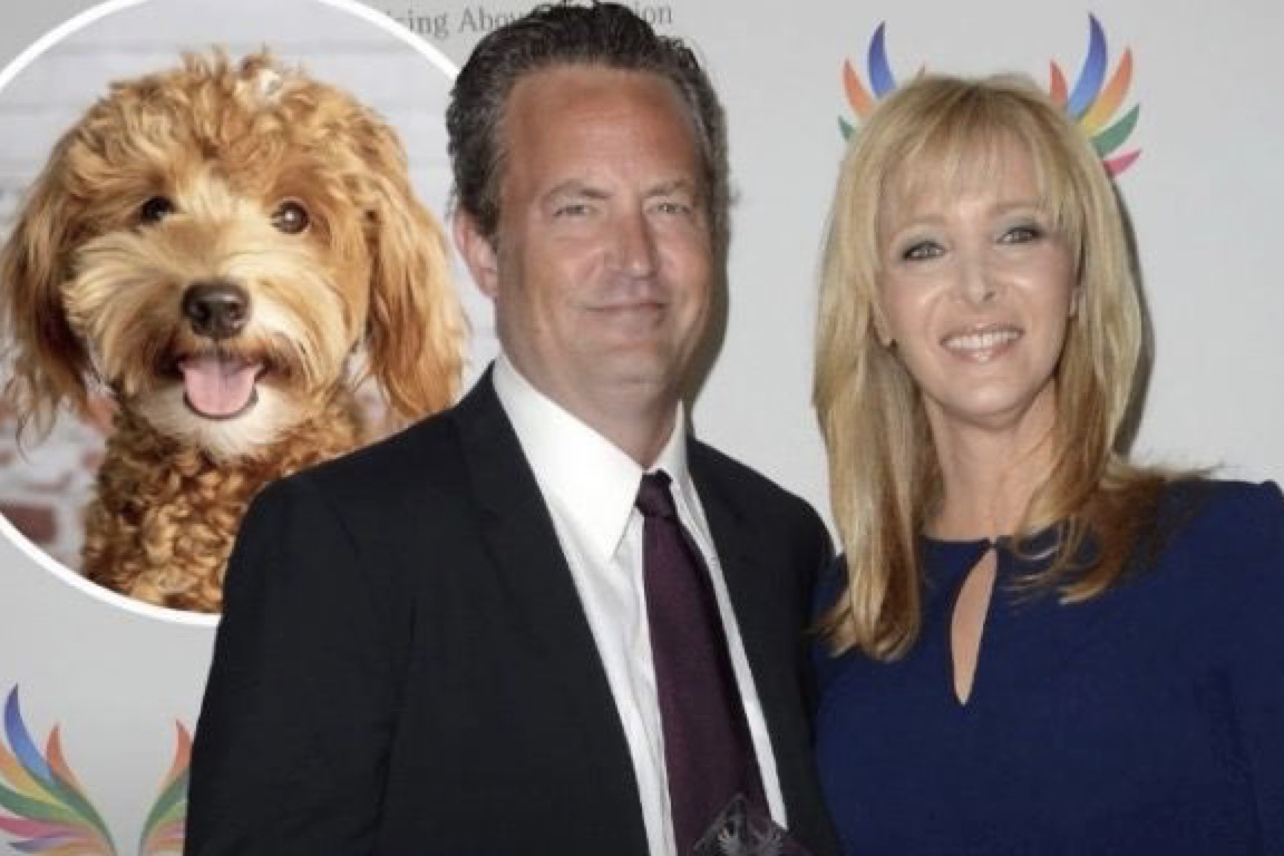 Lisa Kudrow May Adopt Matthew Perry's Dog After His Tragic Passing ...