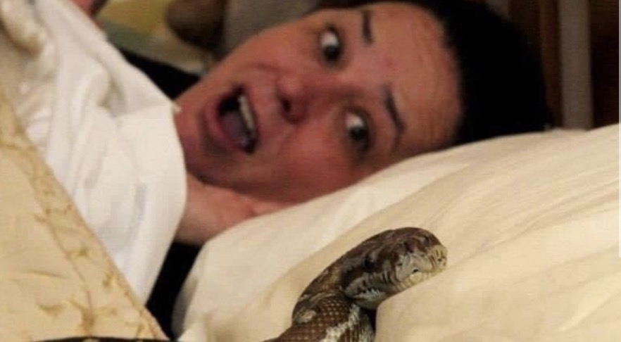 This Woman Slept With Her Pet Snake Every Night Until a Terrible Thing ...