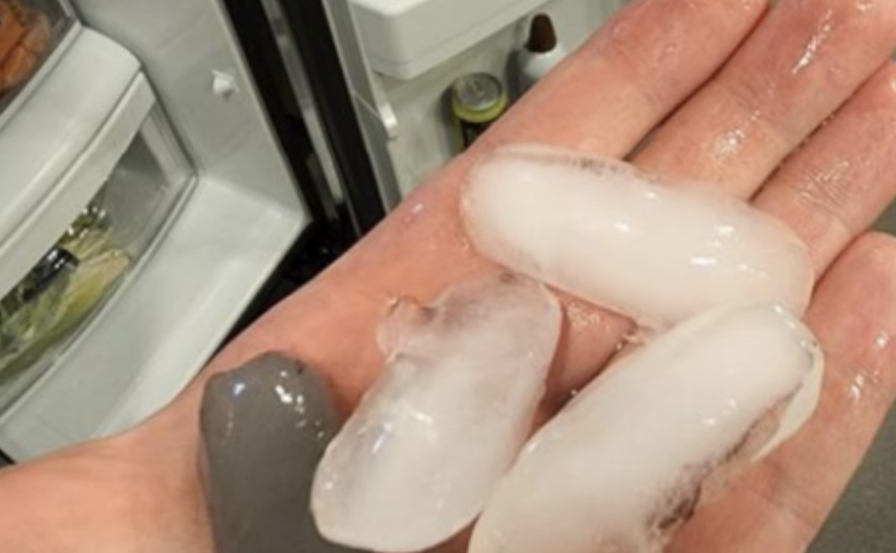 If You See Gray Ice Cubes in Your Fridge, This Is What It Means ...