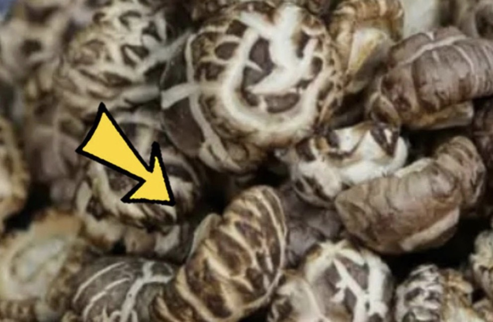 Daughter Discovers Strange Eggs Under Her Bed, Causing Her Family To ...