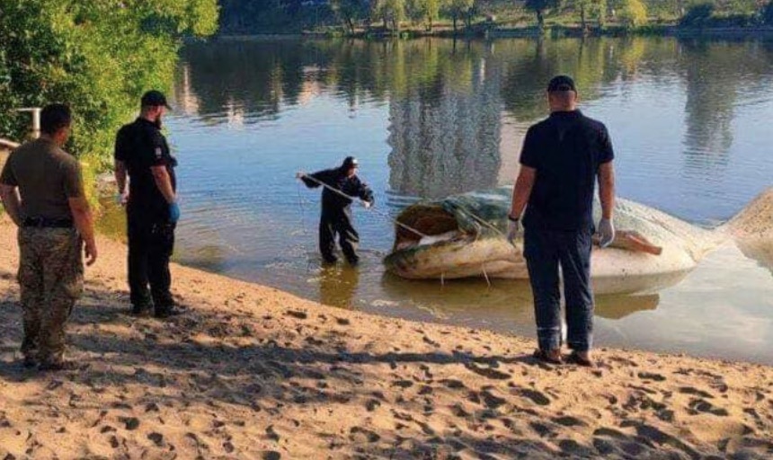 Fisherman catches huge fish – but then he makes an unusual discovery ...