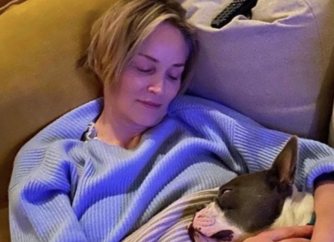 Sharon Osbourne Sad News | MyDailyEntertainment