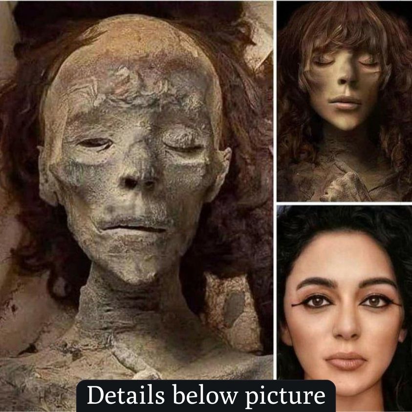 Reconstruction of the face of Queen Tiye (1338 BC) involved bringing ...