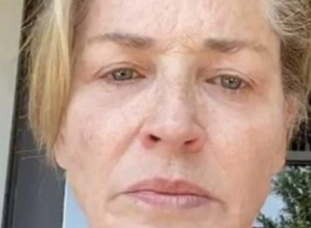 Sharon Stone Rocks Bikini at 65 – Fans Spot Interesting Detail ...