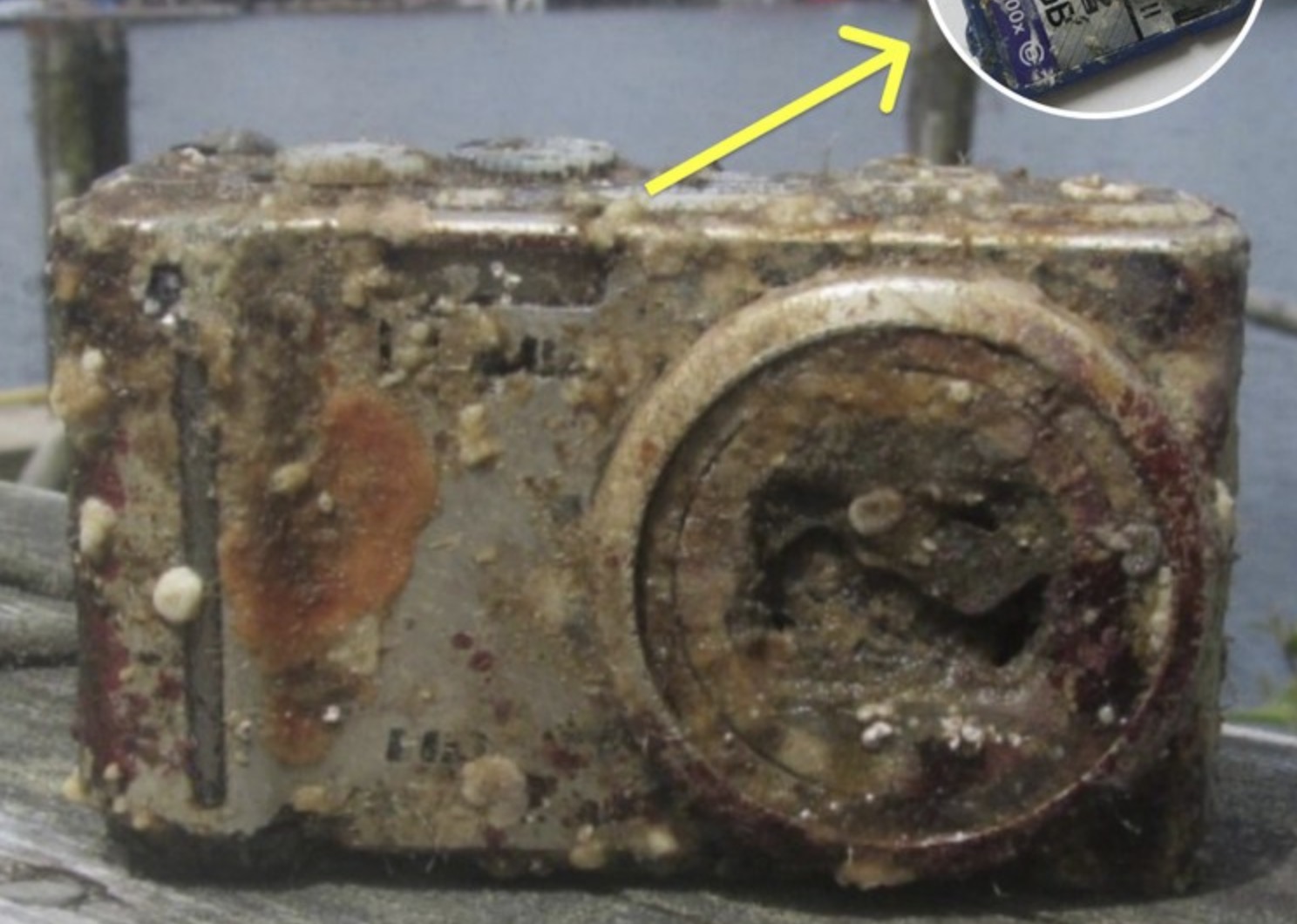 Diver Develops Film From Camera Found At Bottom Of Sea ...