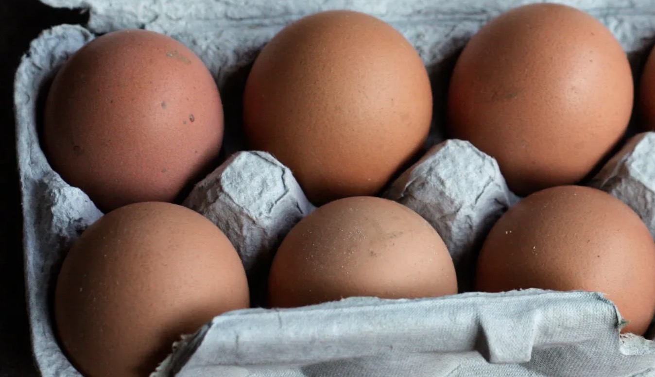 My husband refused to pick up eggs for our kids—until I caught him ...