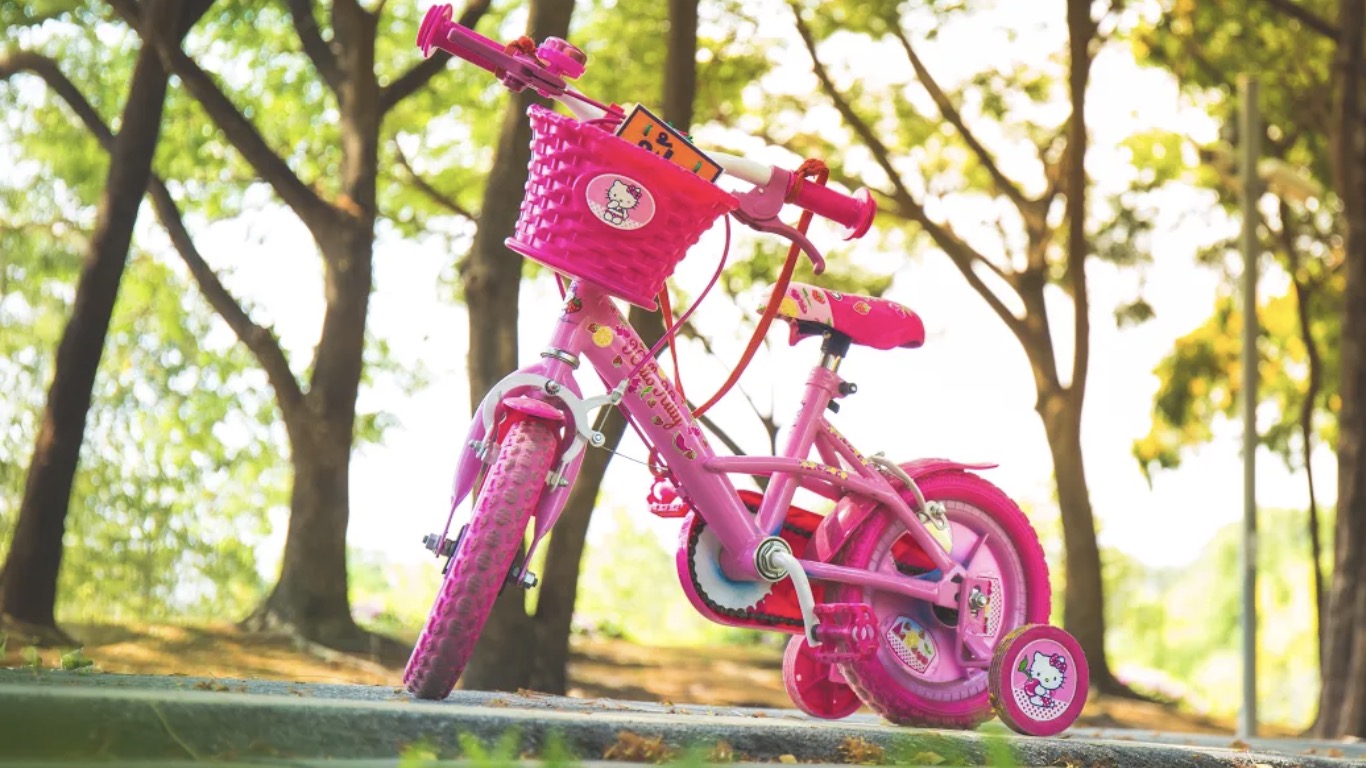 My Mother In Law Reclaimed The Bicycle She Had Given My Daughter For