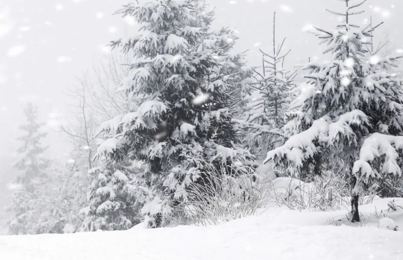 At 8 years old, I almost froze to death, but a homeless man rescued me ...